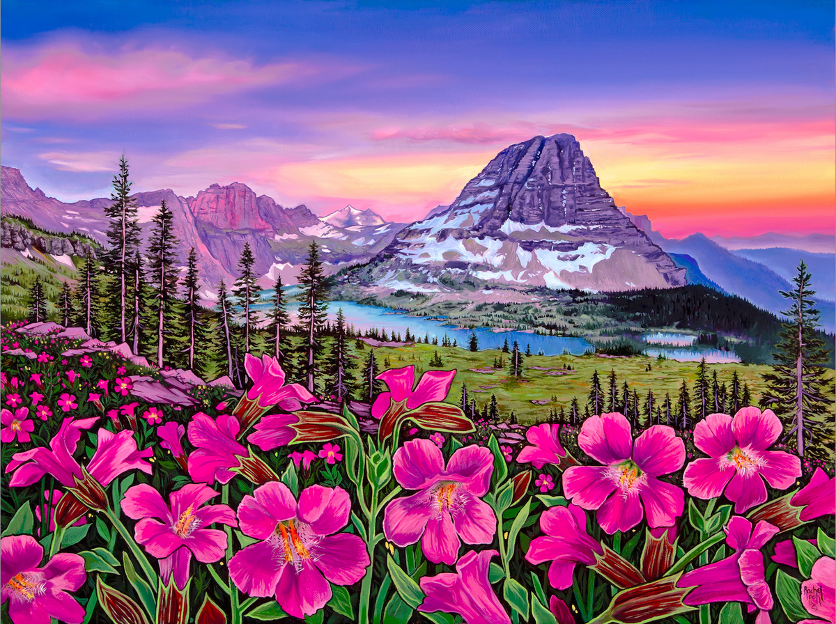 National Park Prints | National Park Apparel | Rachel Pohl – Rachel ...