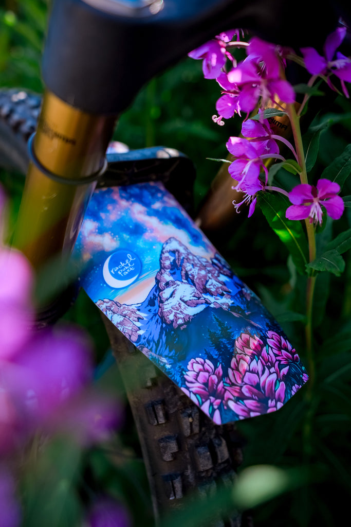 Collections – Rachel Pohl Art