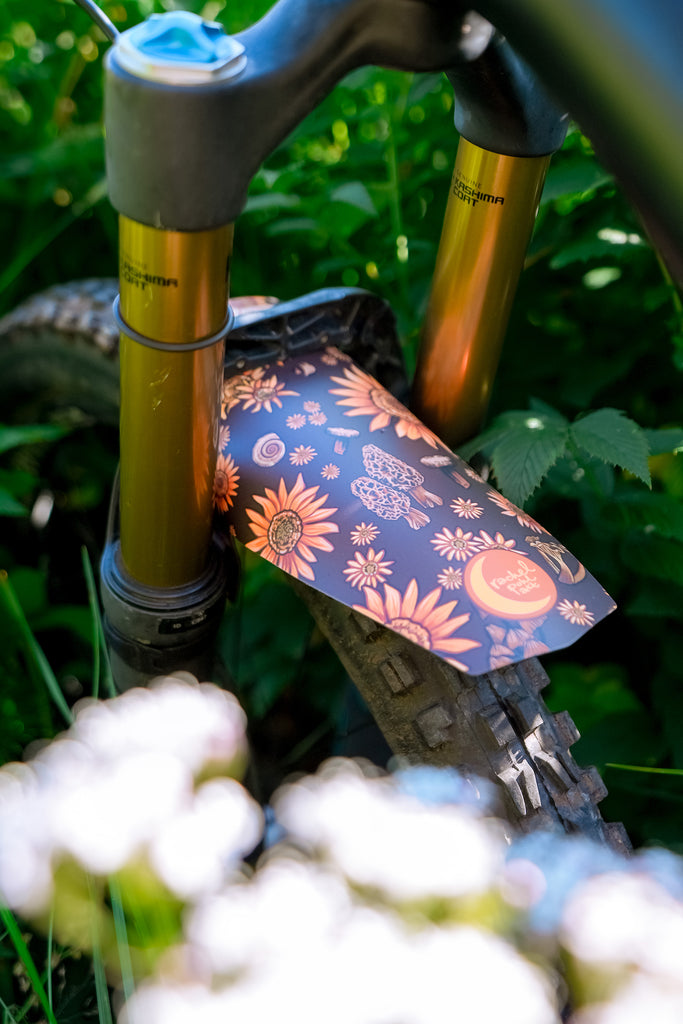 Rachel Pohl Art – Rachel Pohl Art